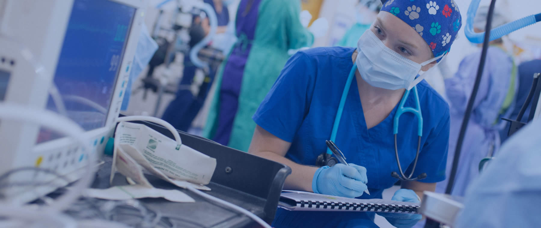 MEDFORTH / Global Healthcare Education